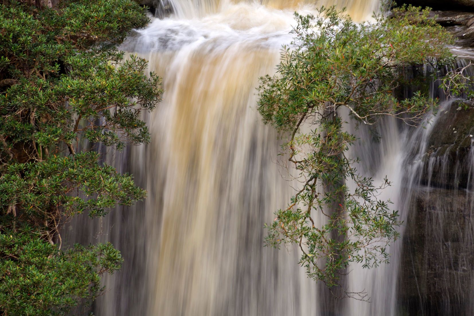 THE WATERFALLS OF THE CENTRAL COAST - COAST Magazine