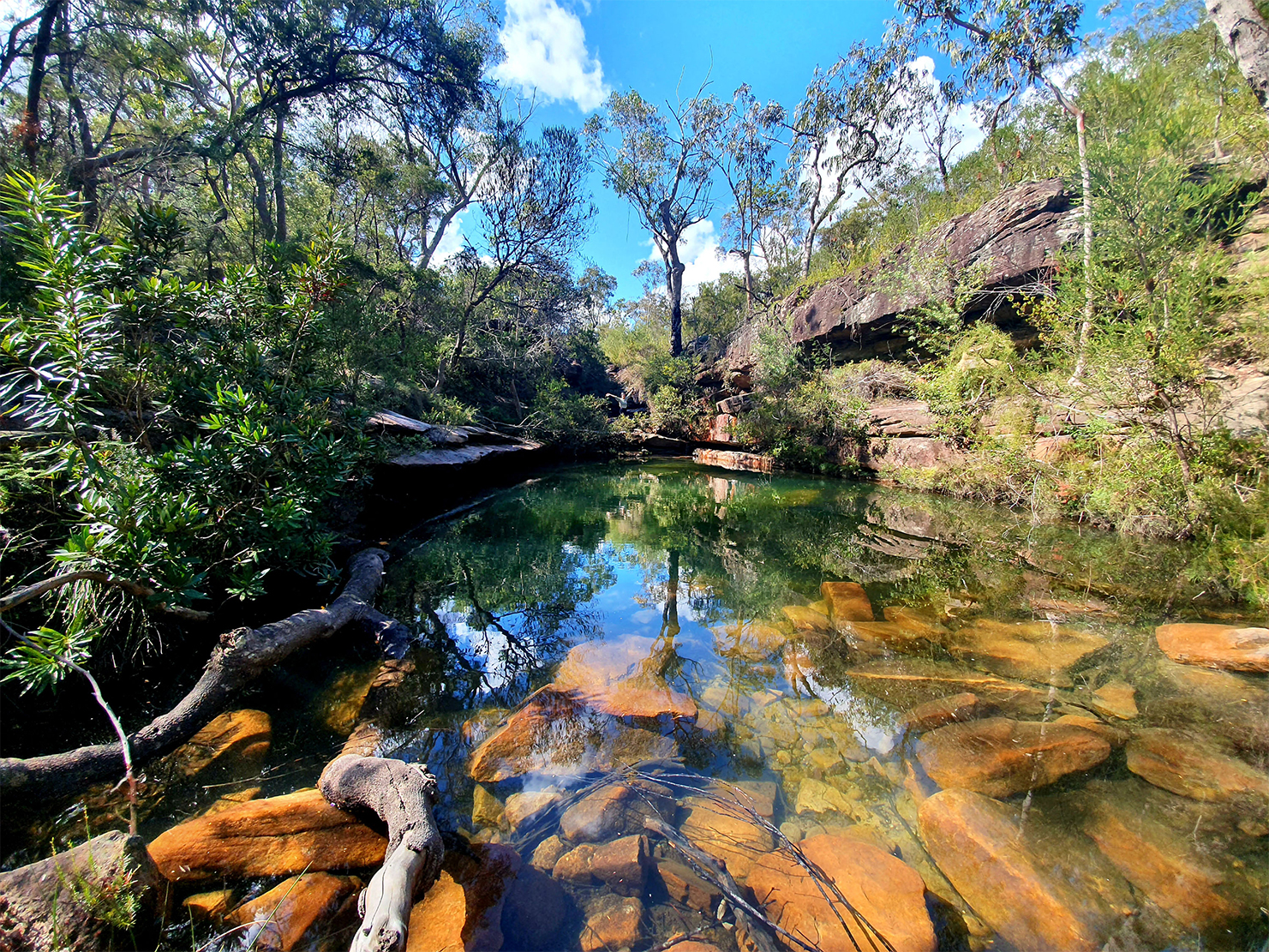 EXPLORE THE ROCK POOLS OF THE CENTRAL COAST - COAST Magazine