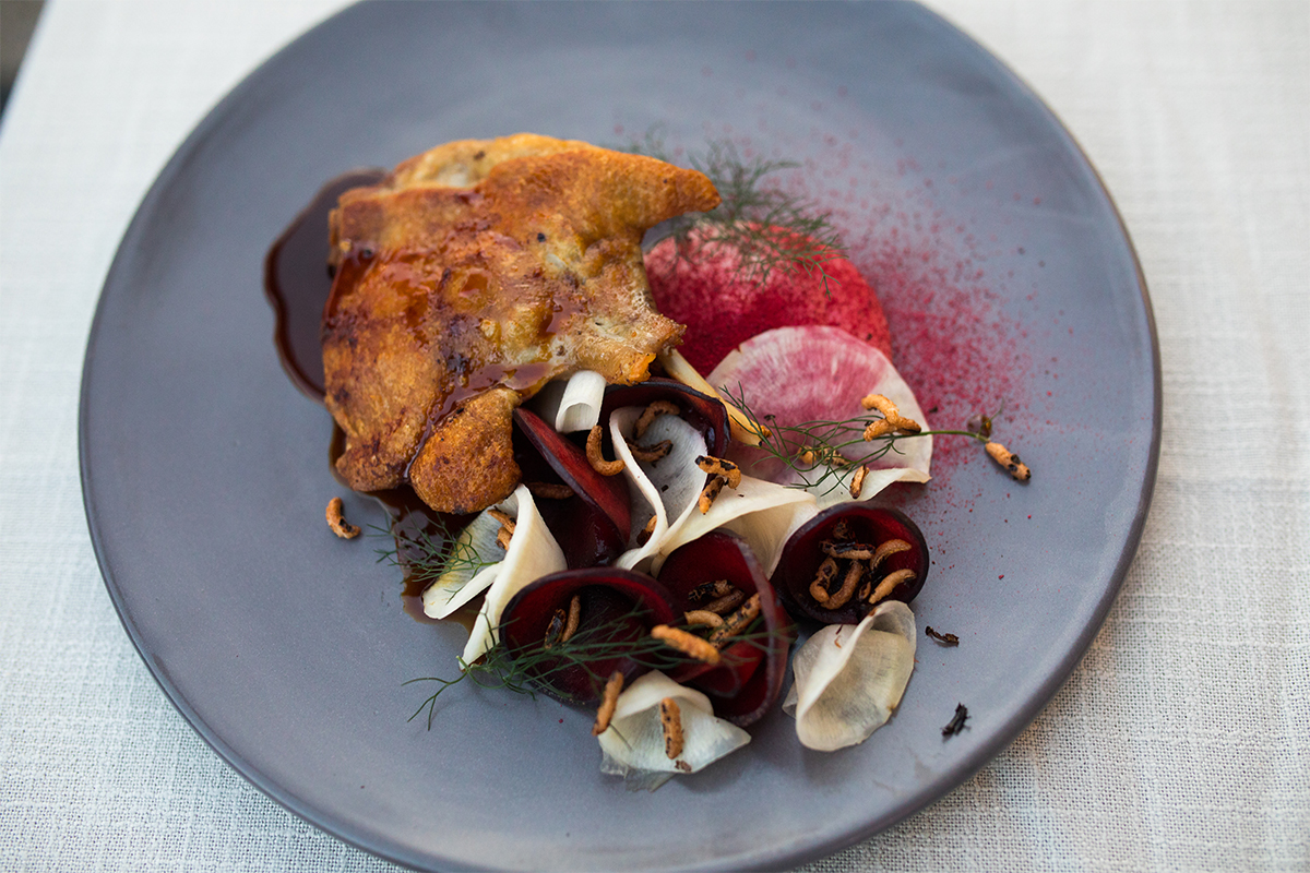 A TOUCH OF BUSH TUCKER - COAST Magazine